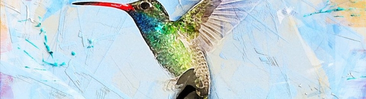 La légende du Colibri - Legendica